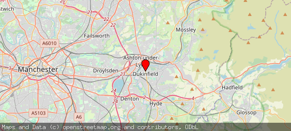 Fly the Flag of Palestine in Tameside in solidarity with Gaza and the ...